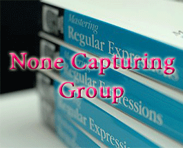 None Capturing Group trong Regular Expression - Freetuts