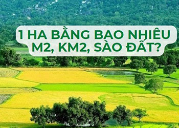 1 ha bằng bao nhiêu m2? Quy đổi ha sang km2, sào, mẫu, công đất